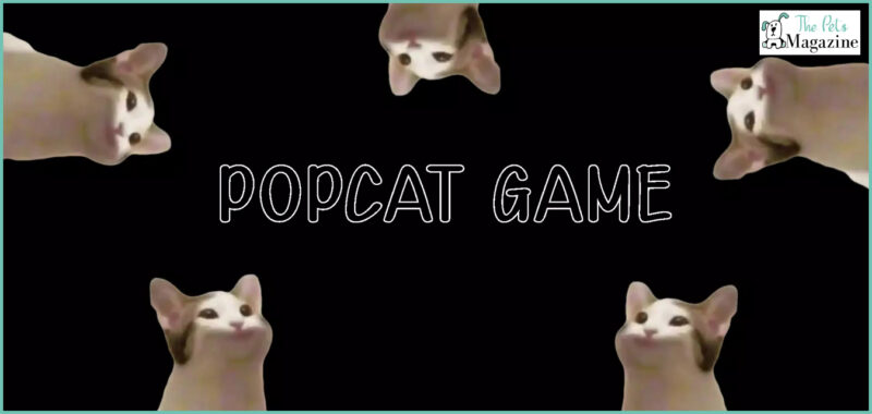 Pop Cat | What Is The Story Behind The Pop Cat Meme?