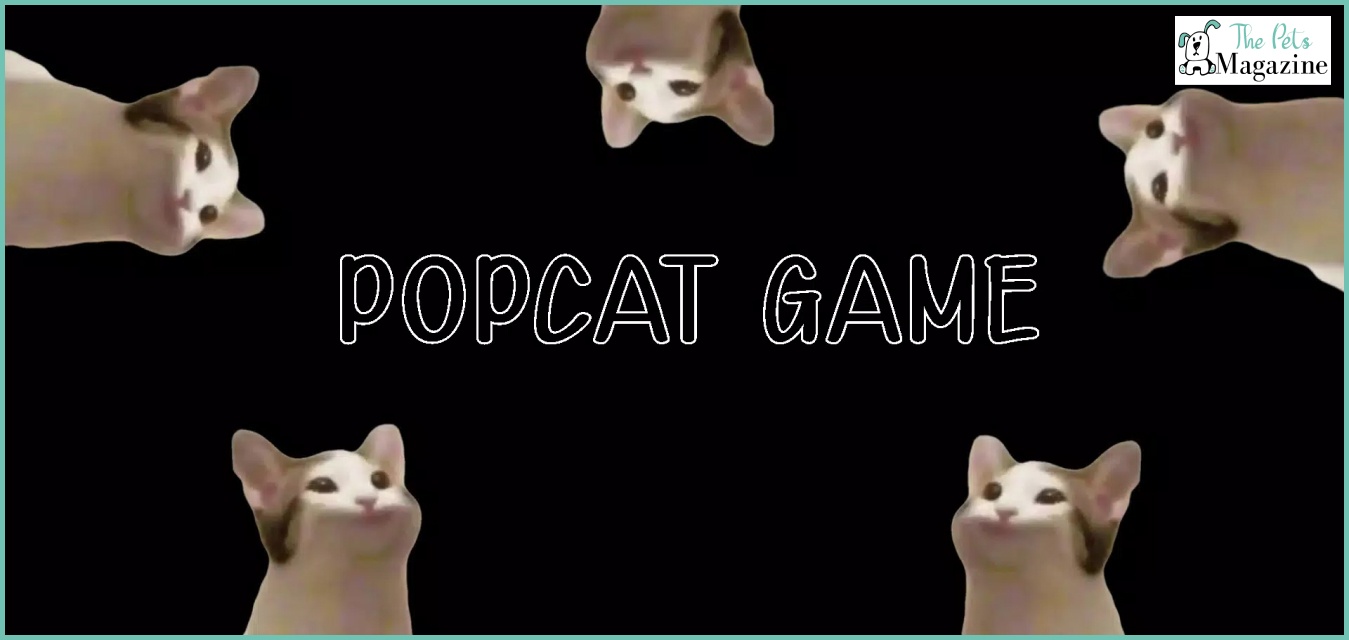 Pop Cat | What Is The Story Behind The Pop Cat Meme?