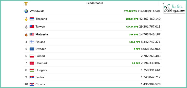 Pop Cat | What Is The Story Behind The Pop Cat Meme?