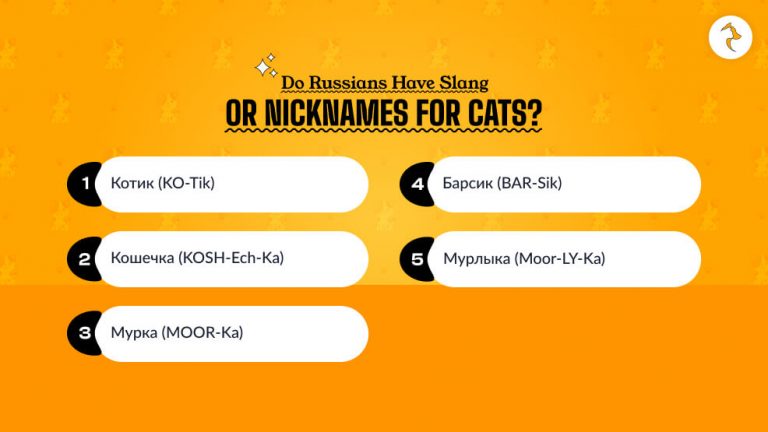 How To Say Cat in Russian?
