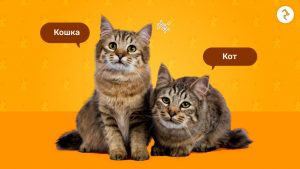 How To Say Cat in Russian?
