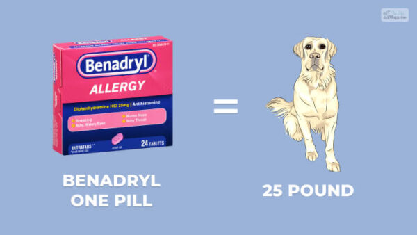 Is Benadryl For Dogs Safe? A Guide to it's Side Effects & Benefits