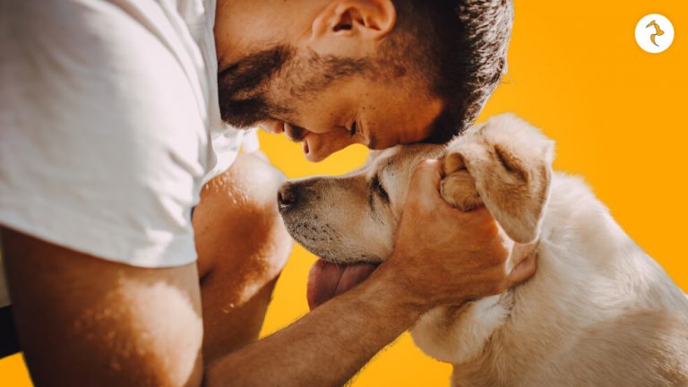 A Guide to Interpreting the Dog Ear Positions Chart