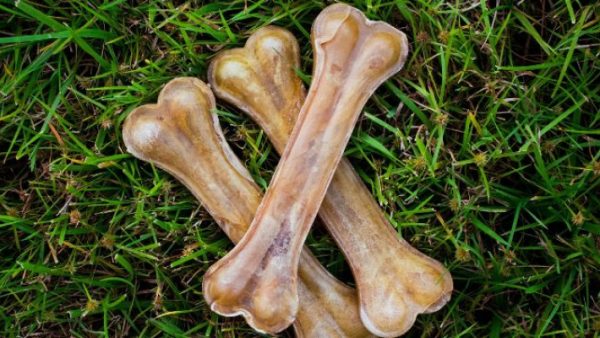 Beefhide vs Rawhide: Which Is A Better Option For Your Pet?