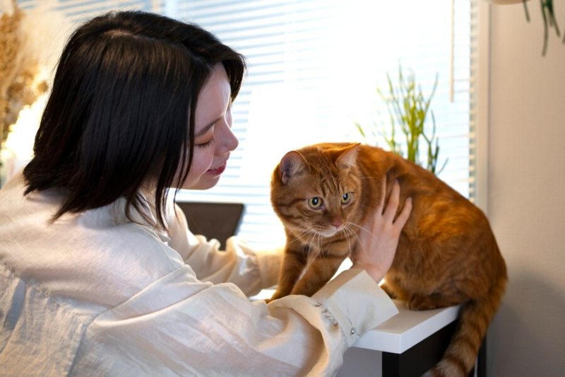 Cat Body Language: Know What Your Cat Is Telling You