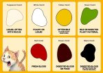 Understanding Your Cat’s Health: Cat Vomit Color Chart Explained