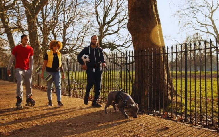 Dog Park Safety 101: Keeping Your Pup Safe and Happy