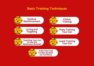 How to Train a Cat: a Guide for First-time Cat Parents