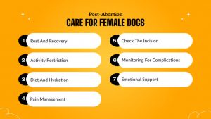 Understanding Dog Abortion: Is It Ethical, And Should You Do It?