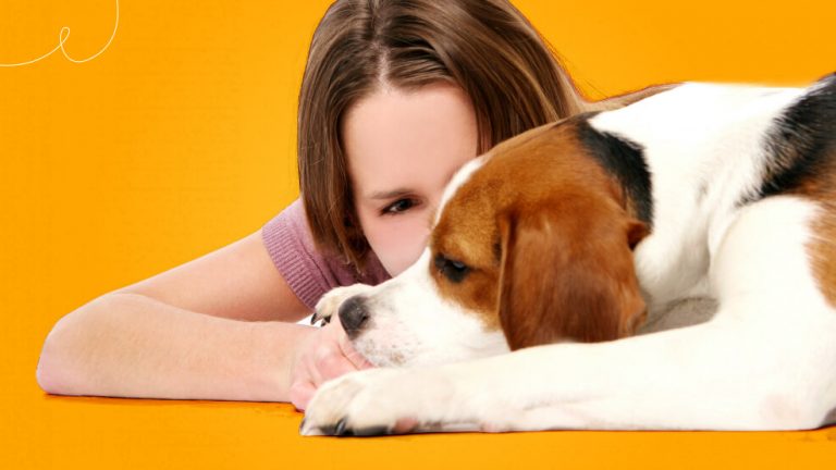 Understanding Dog Abortion: Is It Ethical, And Should You Do It?