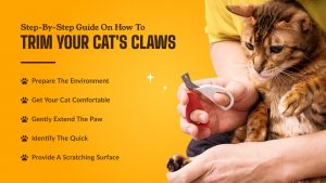 How to Trim Cat's Claws at Home: A Step-by-Step Guide