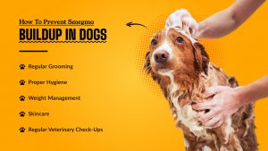 What is Smegma in Dogs? Read About All You Need to Know!