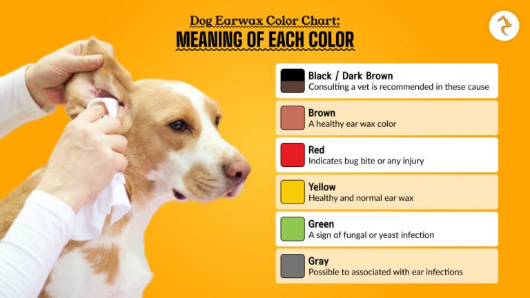 The Ultimate Dog Ear Wax Color Chart: How to Keep Them Healthy