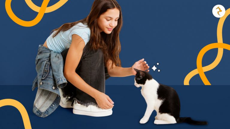 Why Does My Cat Follow Me Everywhere? The Reason Discovered!