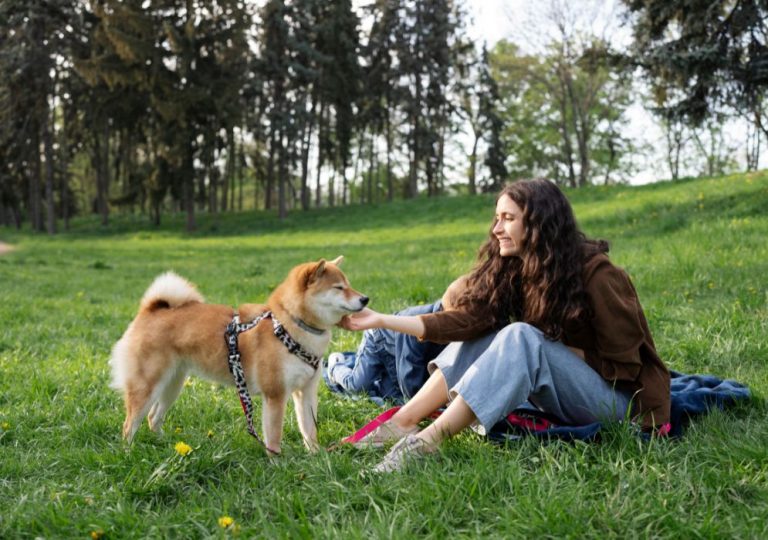 How To Choose A Pet-Friendly Holiday Or A Site?