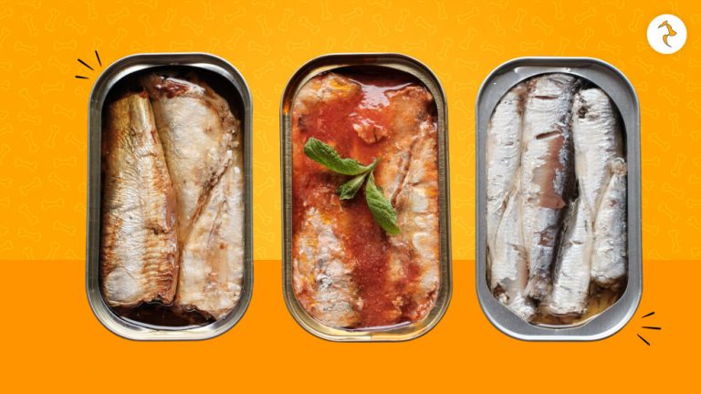 Sardines For Dogs: Is It Safe For Them?
