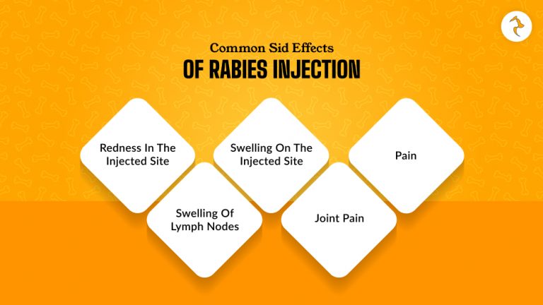 Dog Bite Injection: Get Immediate Treatment Without Any Delay