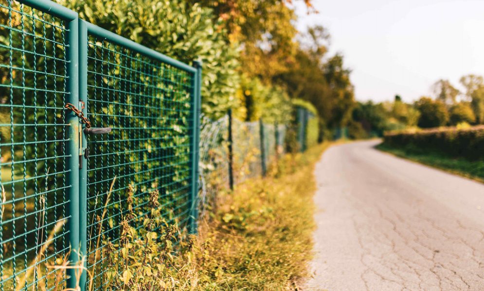 Why Metal Fencing For Dogs Is Gaining Popularity?