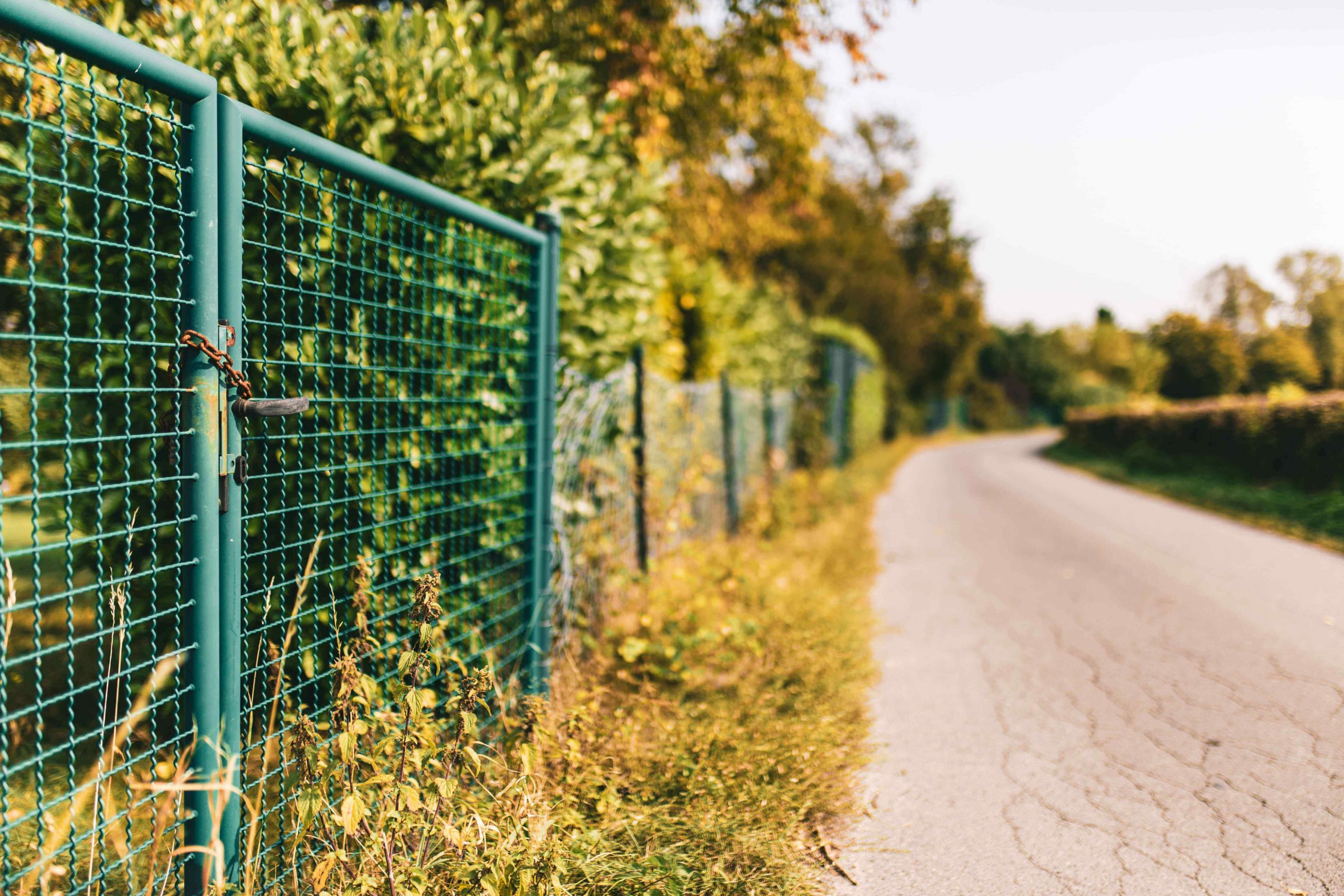 Why Metal Fencing For Dogs Is Gaining Popularity?
