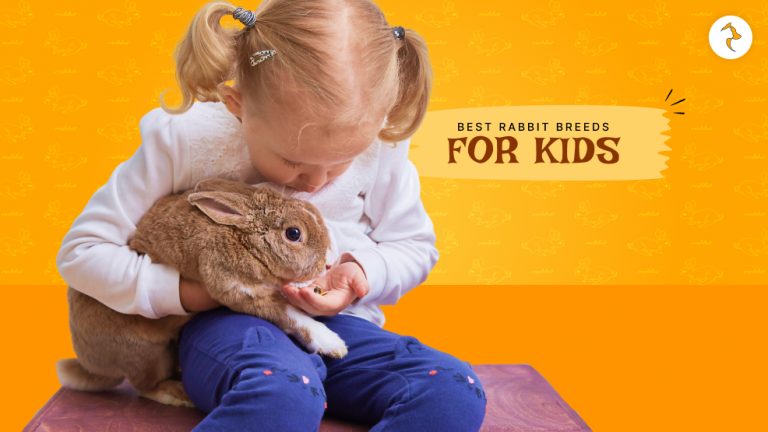 Best Rabbit Breeds for Kids: Safe Picks, Risks & Care Tips