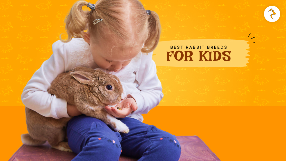 Best Rabbit Breeds for Kids: Safe Picks, Risks & Care Tips